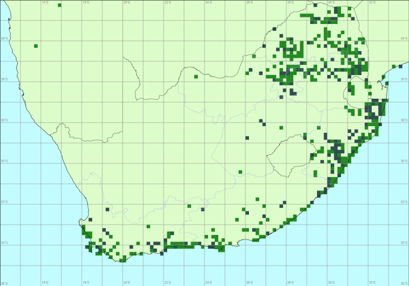 Atlas maps: choice of grid scale | BDI
