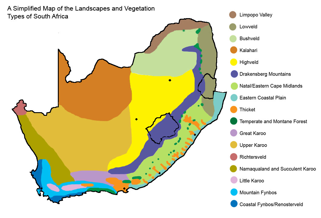 A Rainbow of Landscapes - PART ONE | BDI