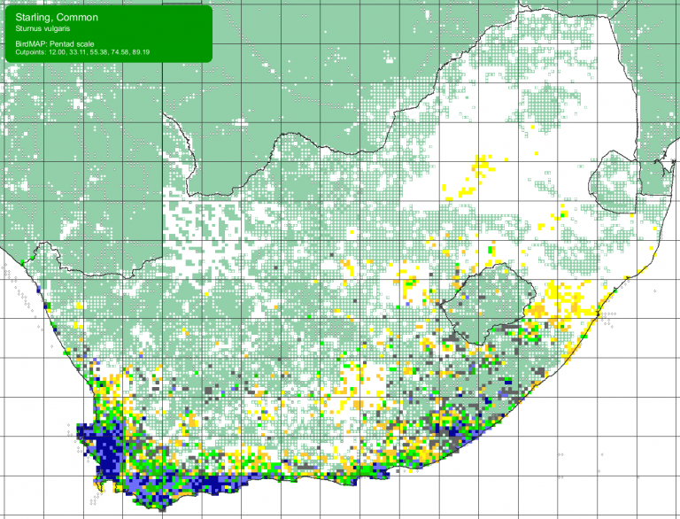 Impacts of Rhodes on Biodiversity 3 : Common Starling | BDI