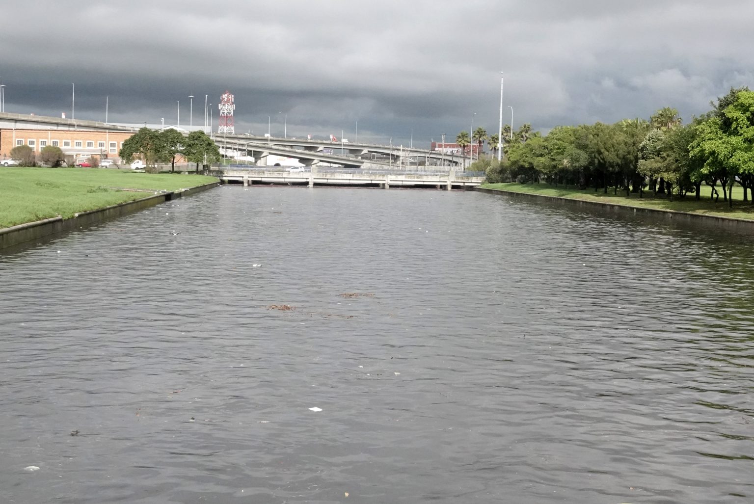 Industrial biodiversity 2 continued : Black River in Paarden Island ...